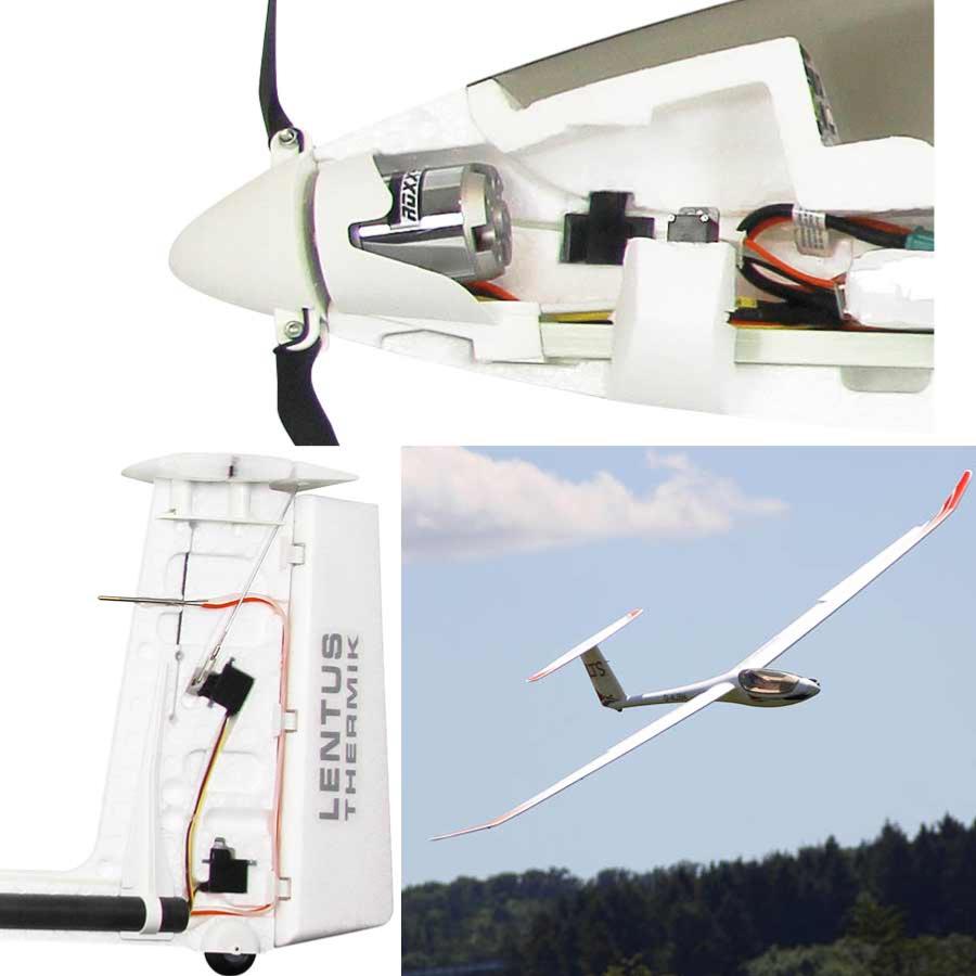 RR Lentus MULTIPLEX_1-00900